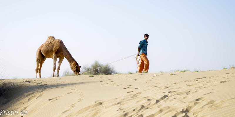 Leavelivelove - Zwischen Indien und Pakistan, Abenteuer in Taar-Wüste